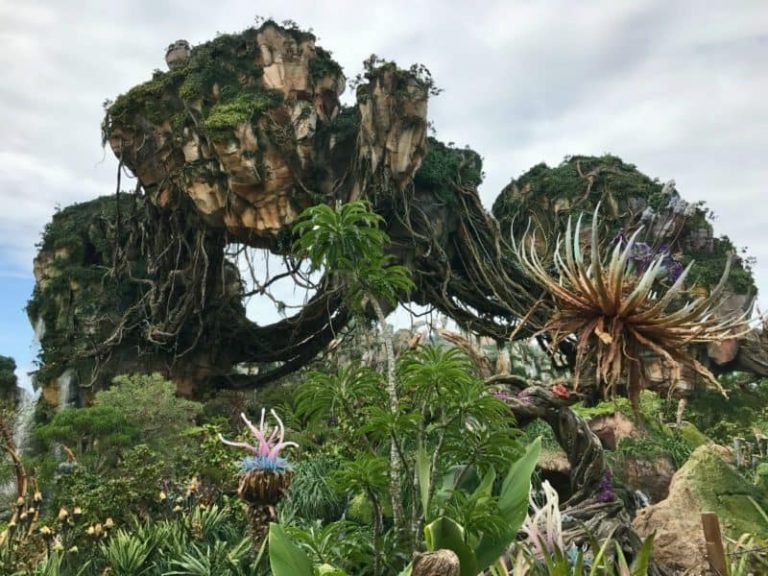 3 Reasons Why You Must Visit Pandora The World of Avatar